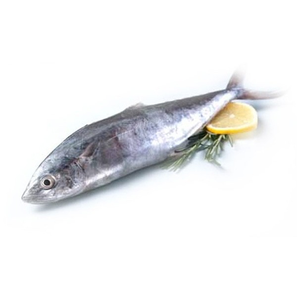 KING FISH Adam Seafood Fresh Seafood And Fishmonger s