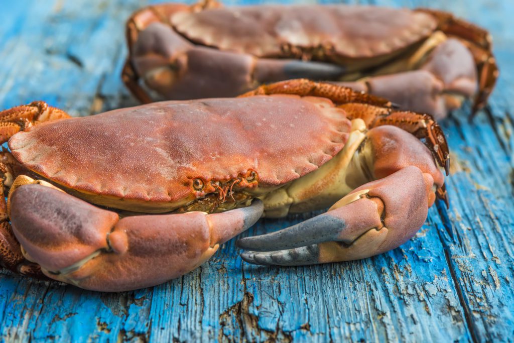 LIVE CRAB LARGE - Adam Seafood | Fresh Seafood and Fishmonger